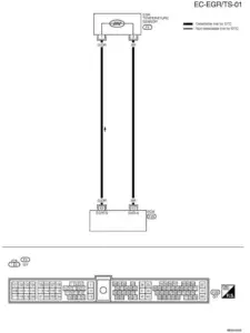 P0406 – OBD ADVISOR